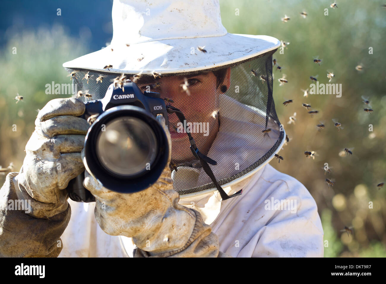 Surrounded by bees hi-res stock photography and images - Alamy