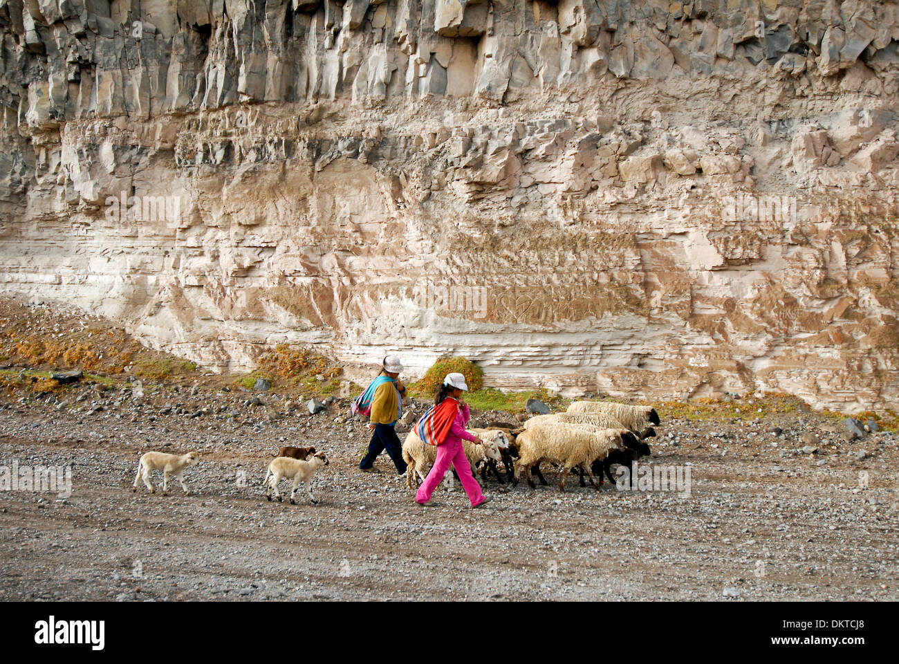 Peruvian Goat herders Stock Photo - Alamy