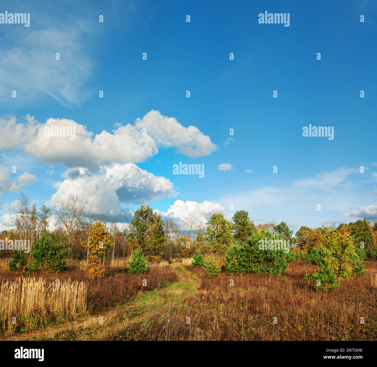 The autumn road through a dry meadow Stock Photo - Alamy