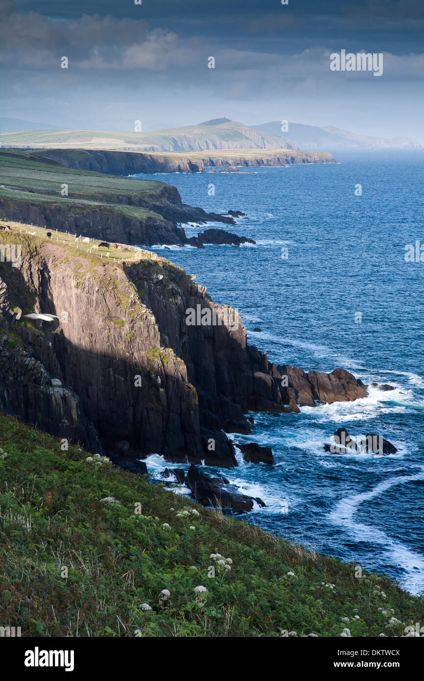 Irish coastal scenes hi-res stock photography and images - Alamy