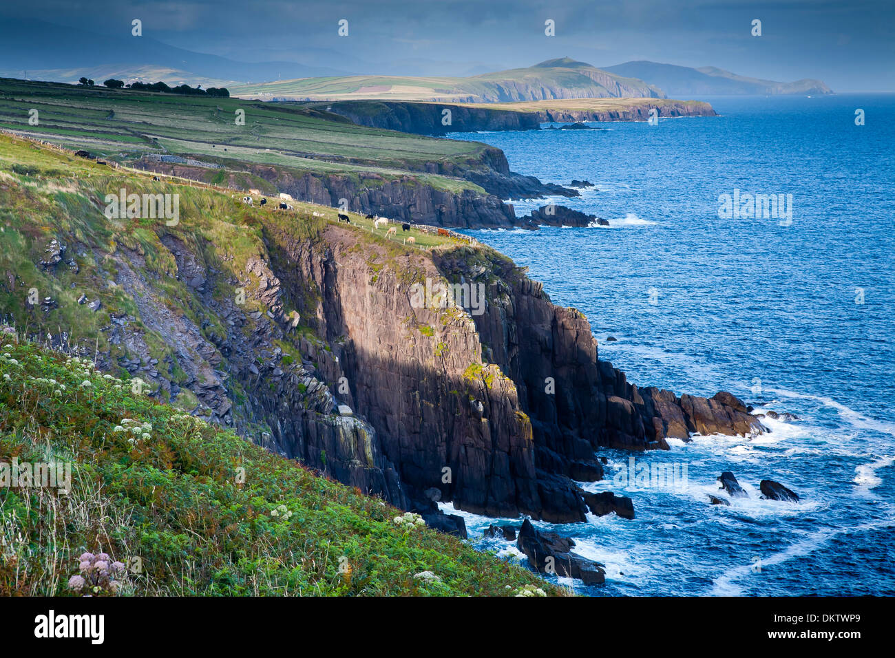 Open coastal landscape hi-res stock photography and images - Alamy