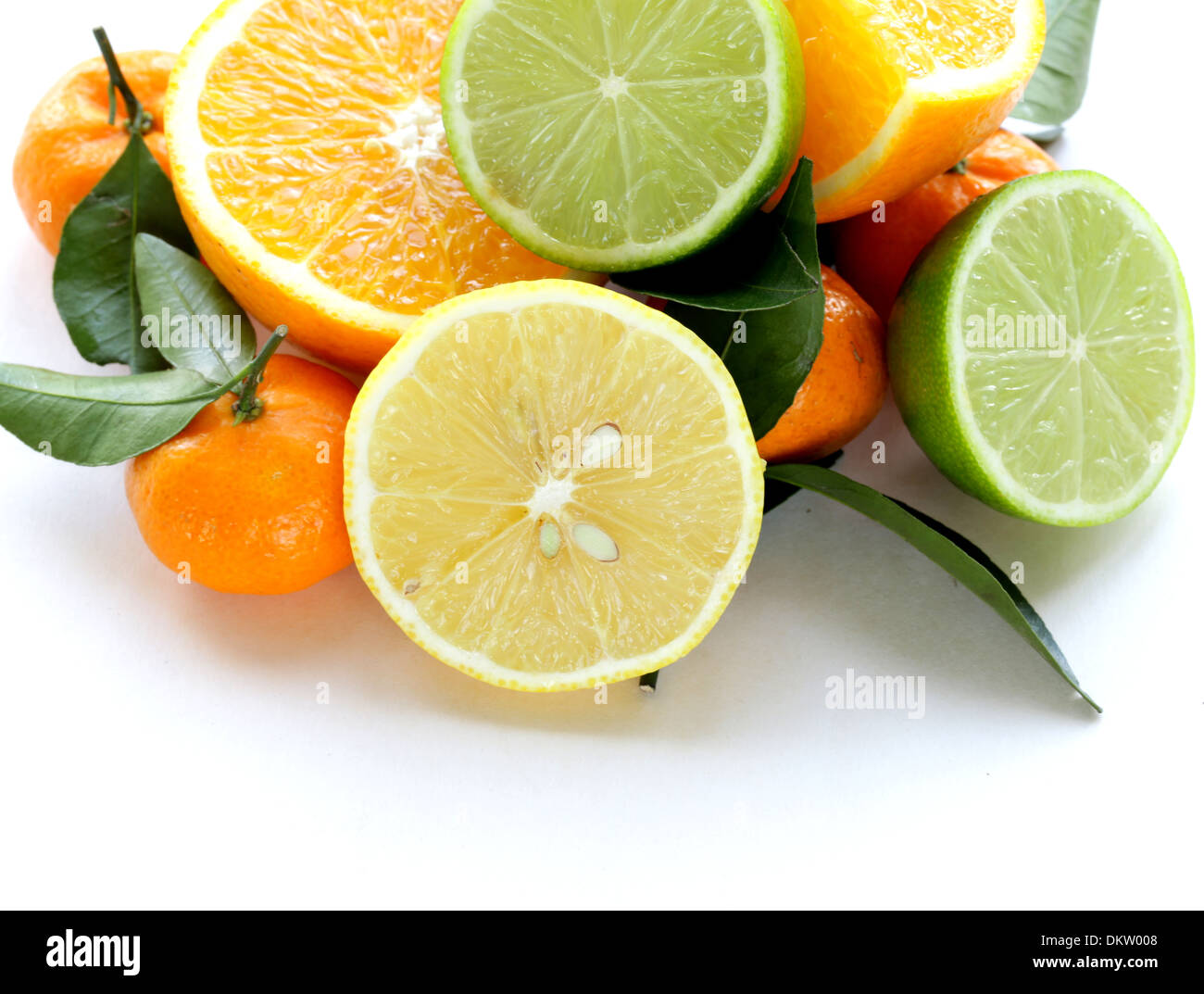 different types of citrus fruits (orange, lime, lemon, tangerine Stock ...