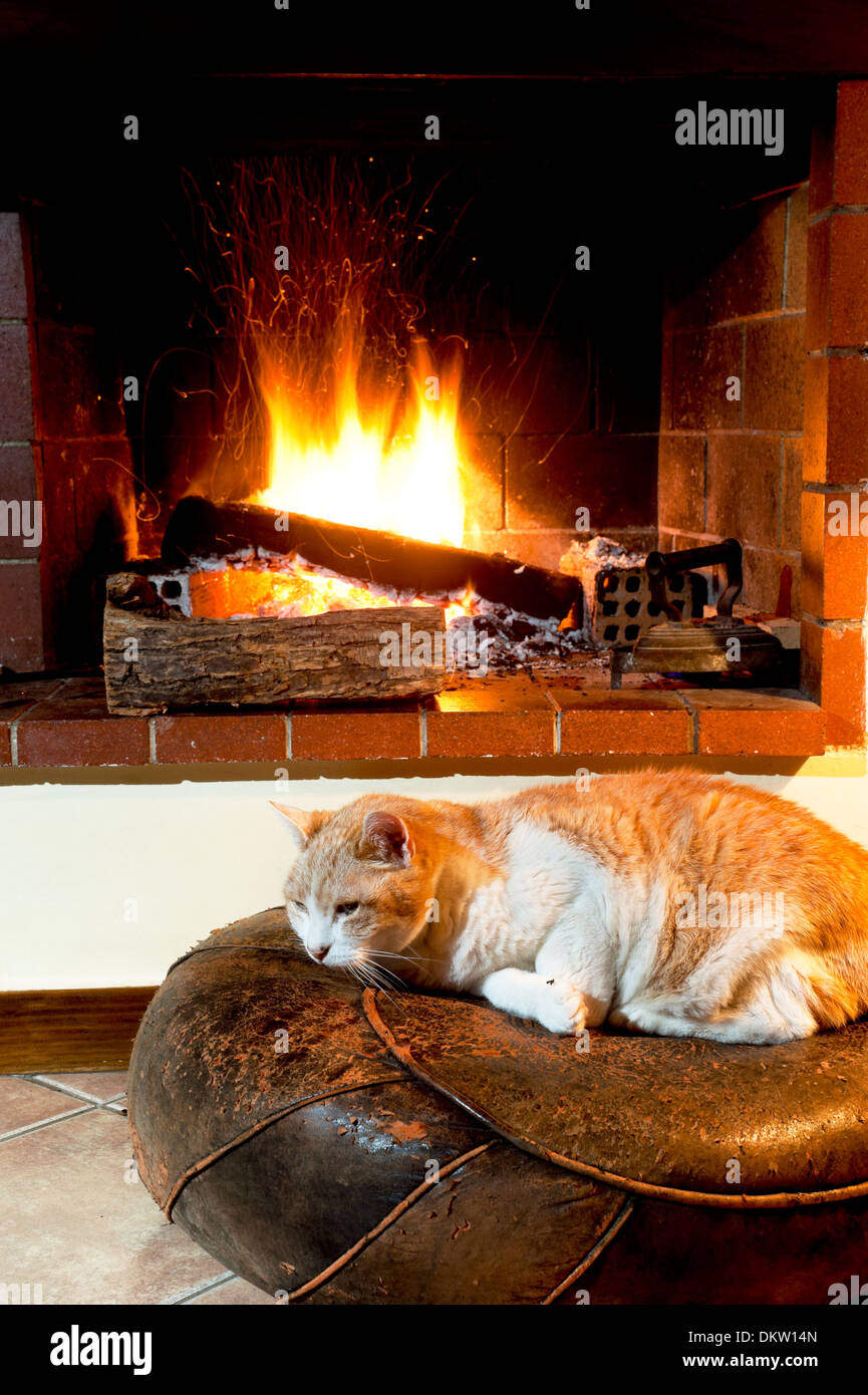Relaxing by fireplace hi-res stock photography and images - Alamy