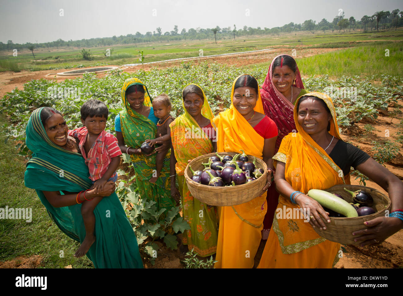 Woman farmer in Bihar State, India Stock Photo - Alamy