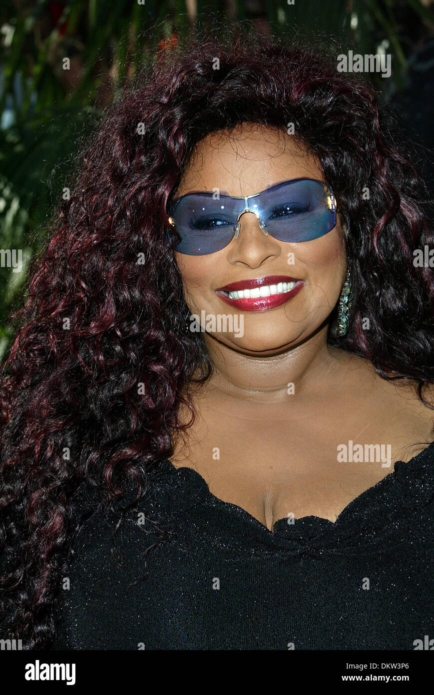 CHAKA KHAN.SINGER.ANGELES, USA.KODAK THEATRE, HOLLYWOOD, LOS.25/06/2002 ...