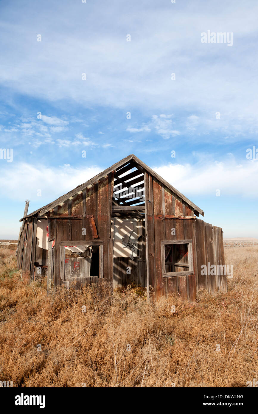 An abandoned shack slowly sinks into the marsh at the ghost town of ...
