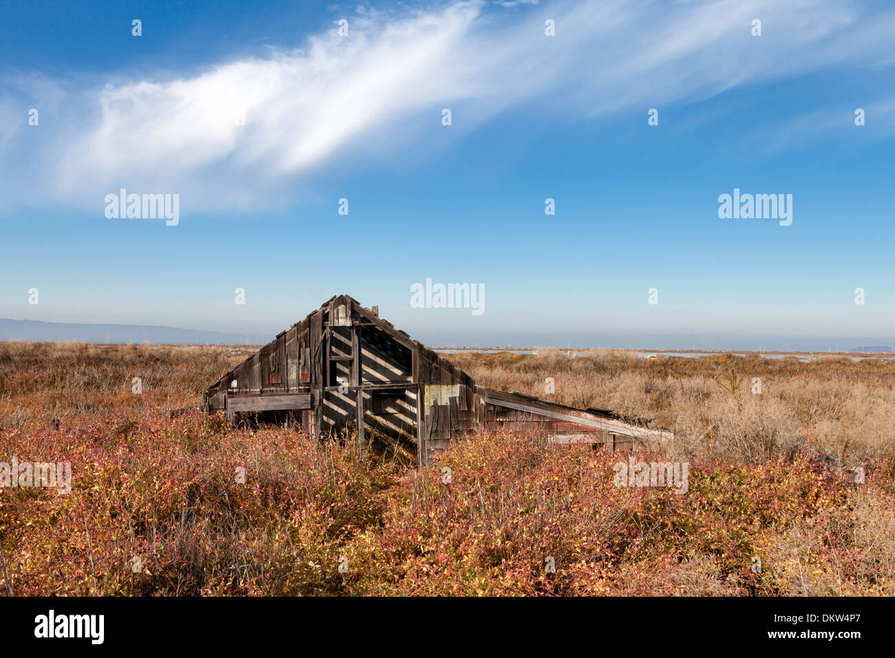 An abandoned shack slowly sinks into the marsh at the ghost town of ...