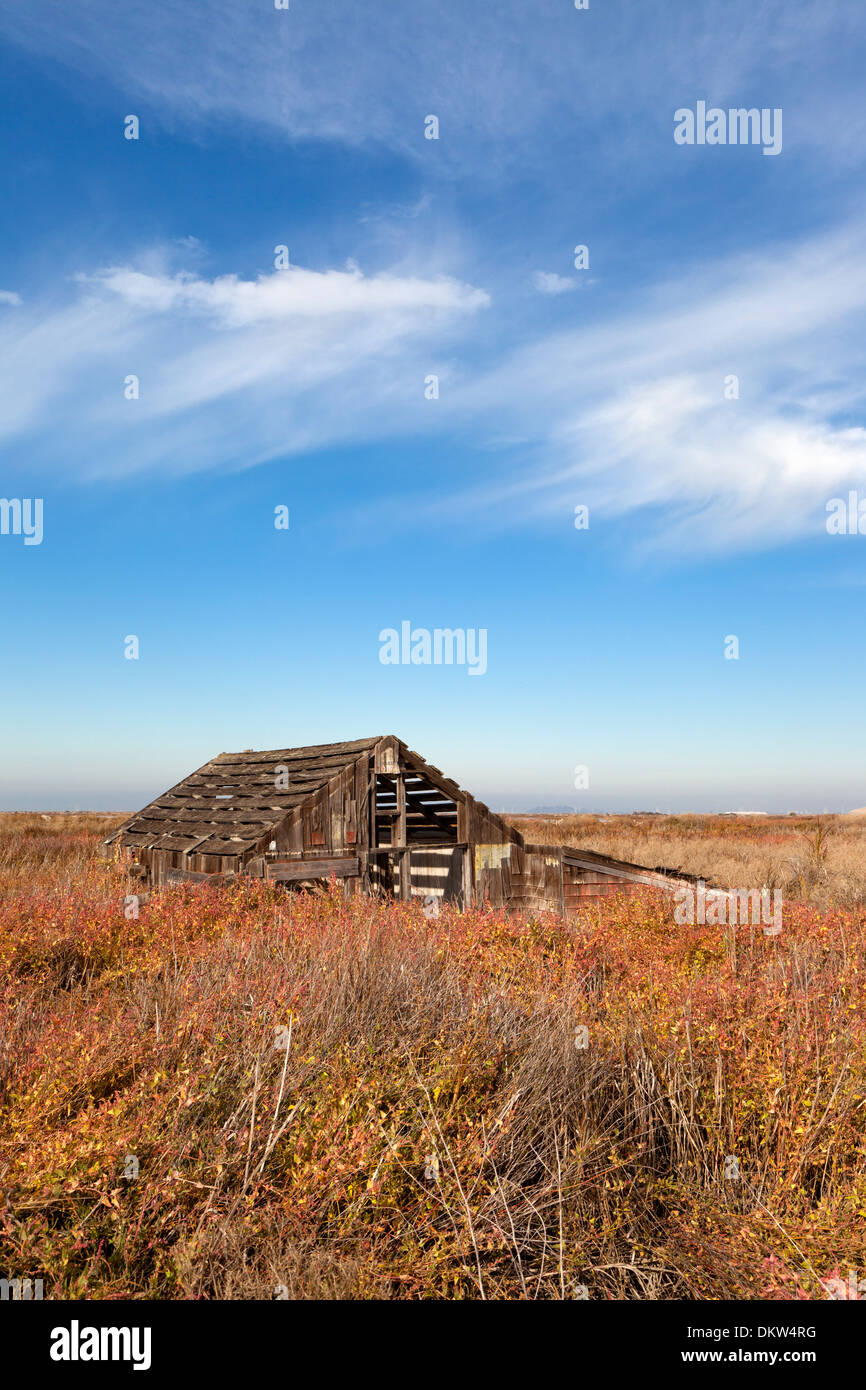 An abandoned shack slowly sinks into the marsh at the ghost town of ...
