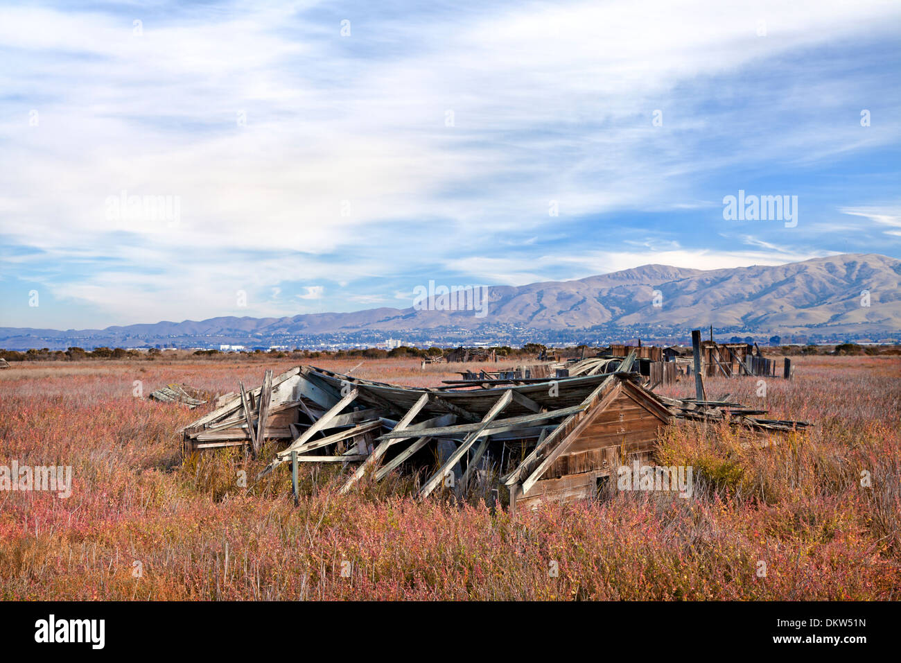 An abandoned shack slowly sinks into the marsh at the ghost town of ...