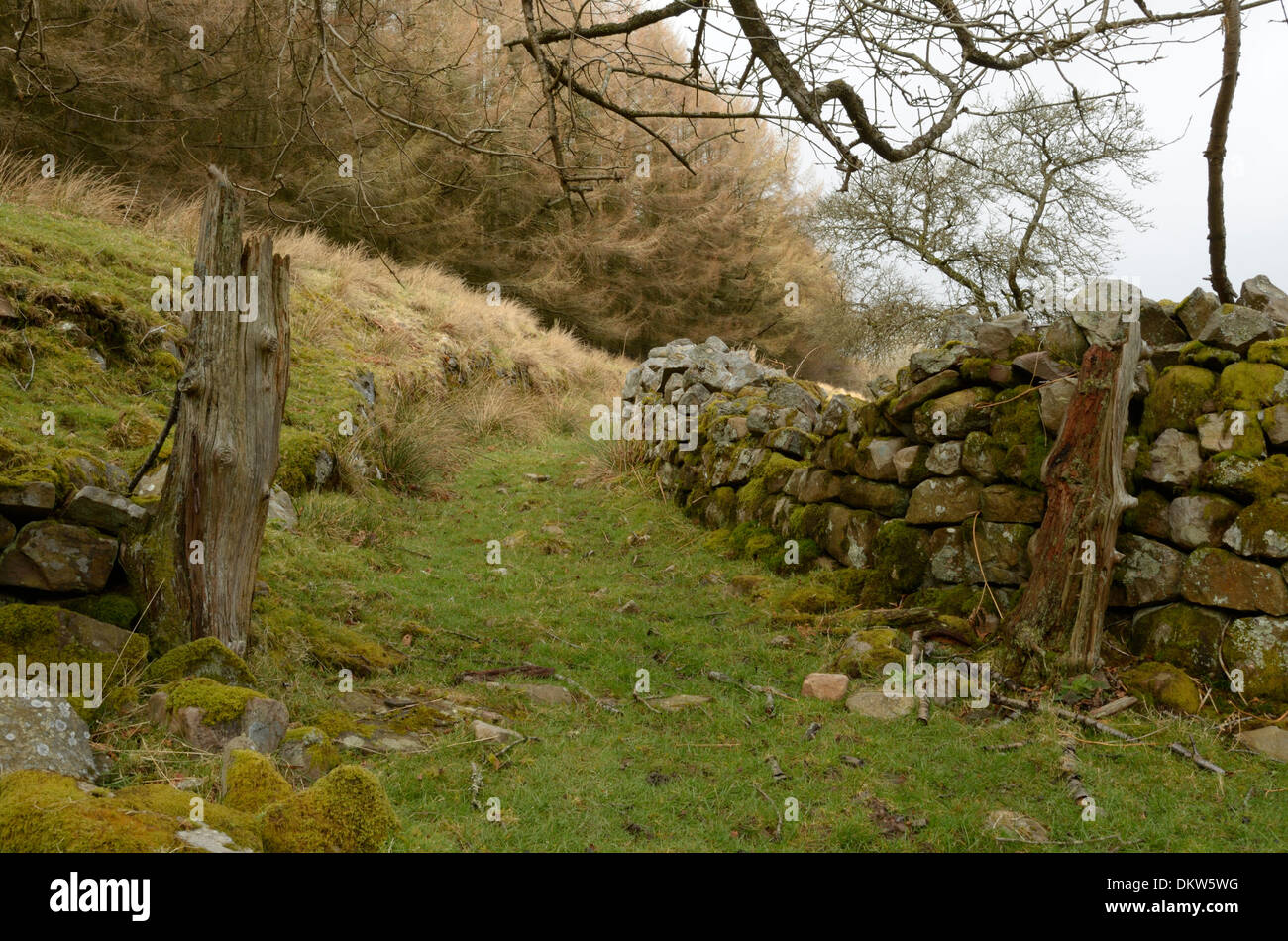 Blaen y cwm hi-res stock photography and images - Alamy