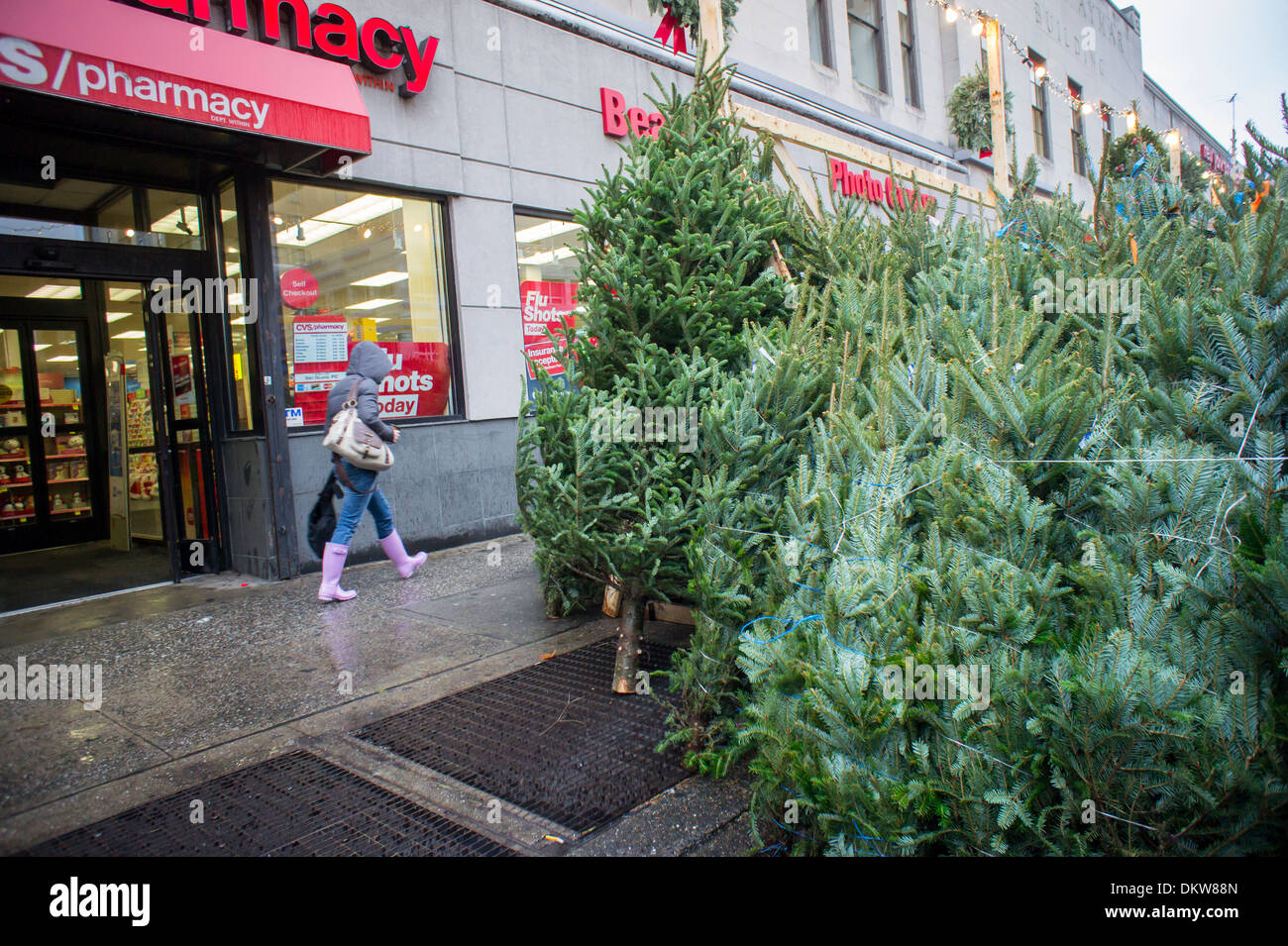 Christmas trees for sale in the New York neighborhood of Chelsea Stock ...