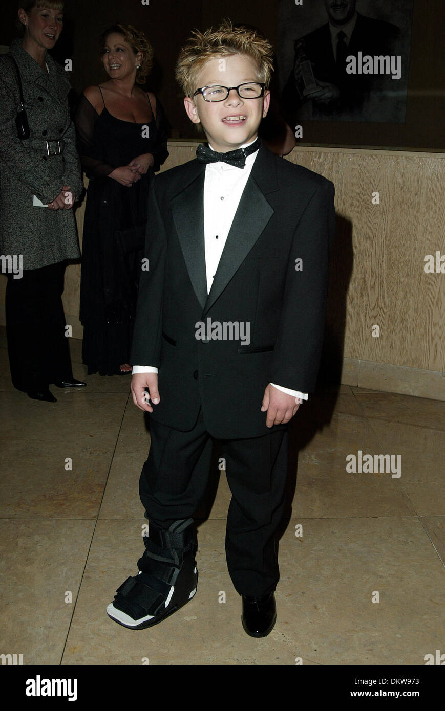 JONATHAN LIPNICKI.ACTOR.HILLS, LA, USA.BEVERLY HILTON HOTEL, BEVERLY.26 ...