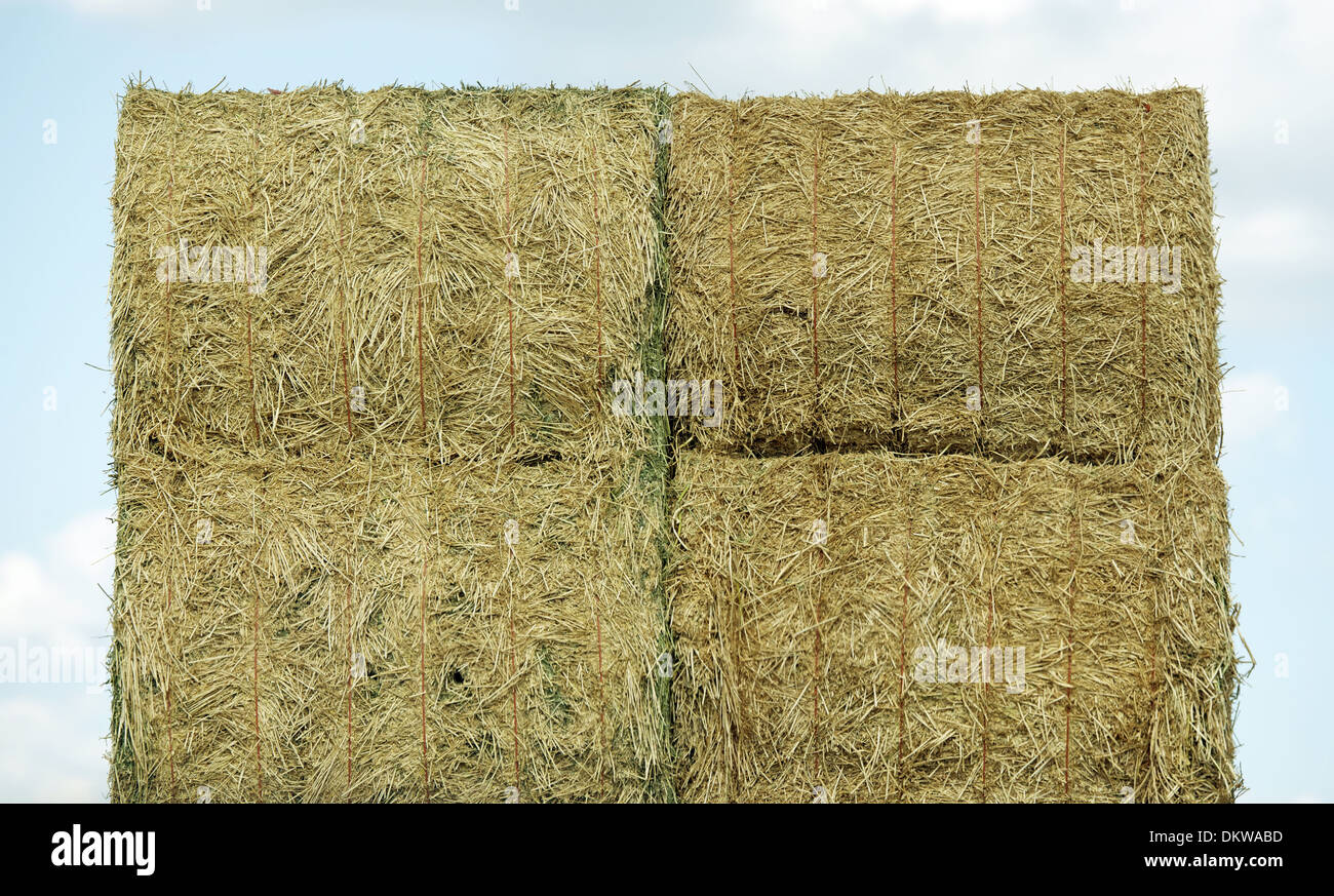Square Bales of Hay. Agriculture Photo Collection Stock Photo - Alamy