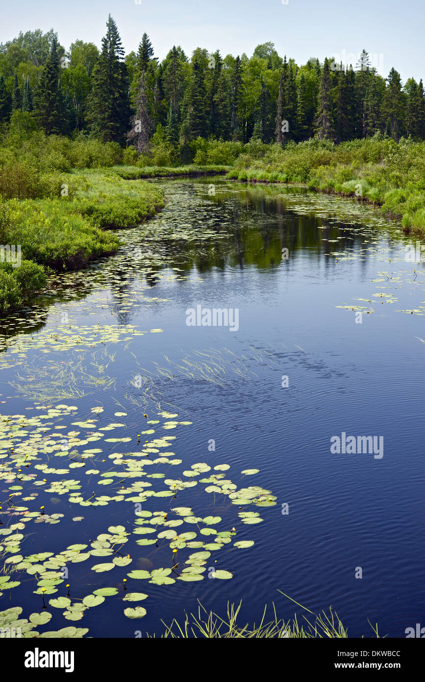 Minnesota Scenery - Scenic Minnesota State Landscape. Forest and River ...