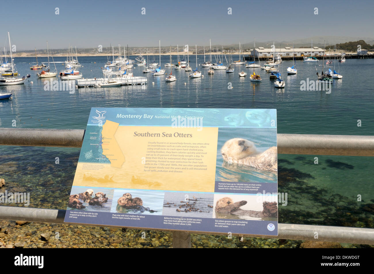 Monterey Bay National Marine Sanctuary Information Sign about Sea ...