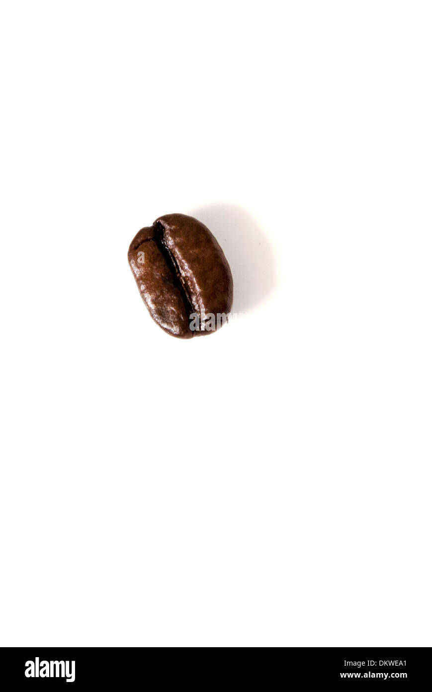 One single bean hi-res stock photography and images - Alamy