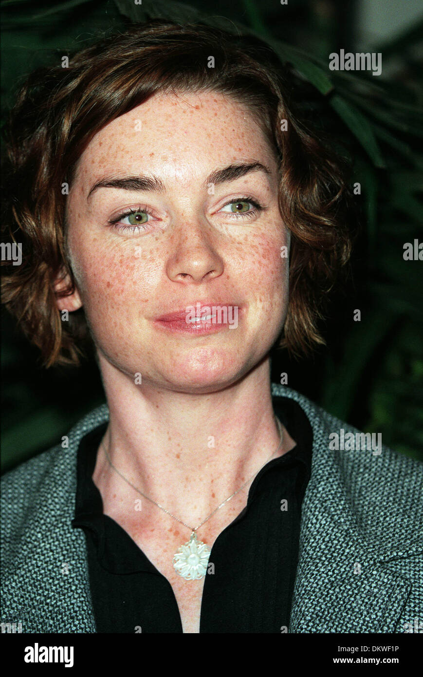 Julianne nicholson hi-res stock photography and images - Alamy