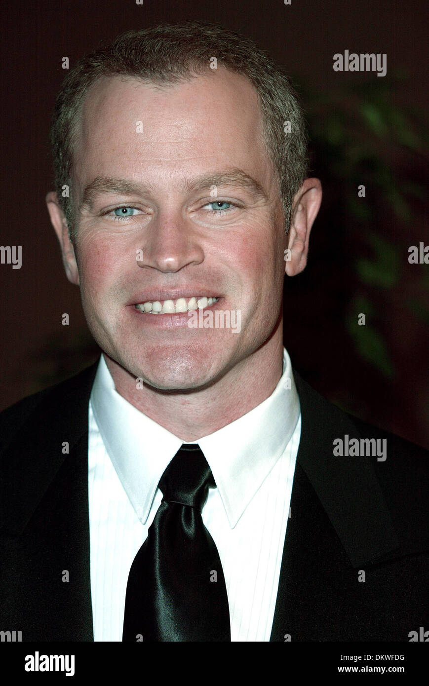Neal mcdonough actor hi-res stock photography and images - Alamy