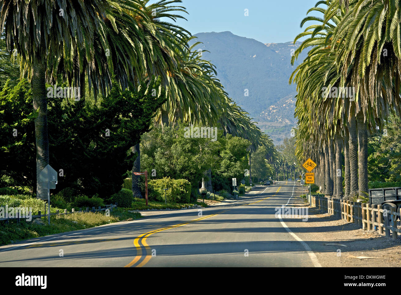 Santa Barbara, California - Palm Trees Road Stock Photo - Alamy