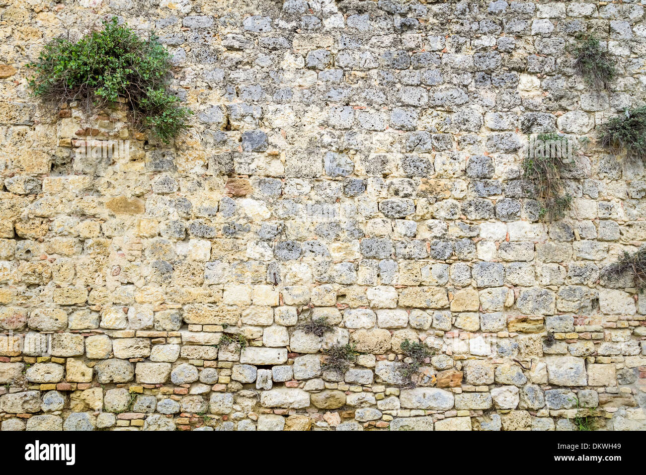 Medieval wall built of ancient stone Stock Photo - Alamy