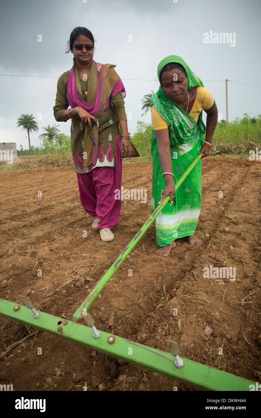 A woman receives agricultural training using a row scoring rake in ...