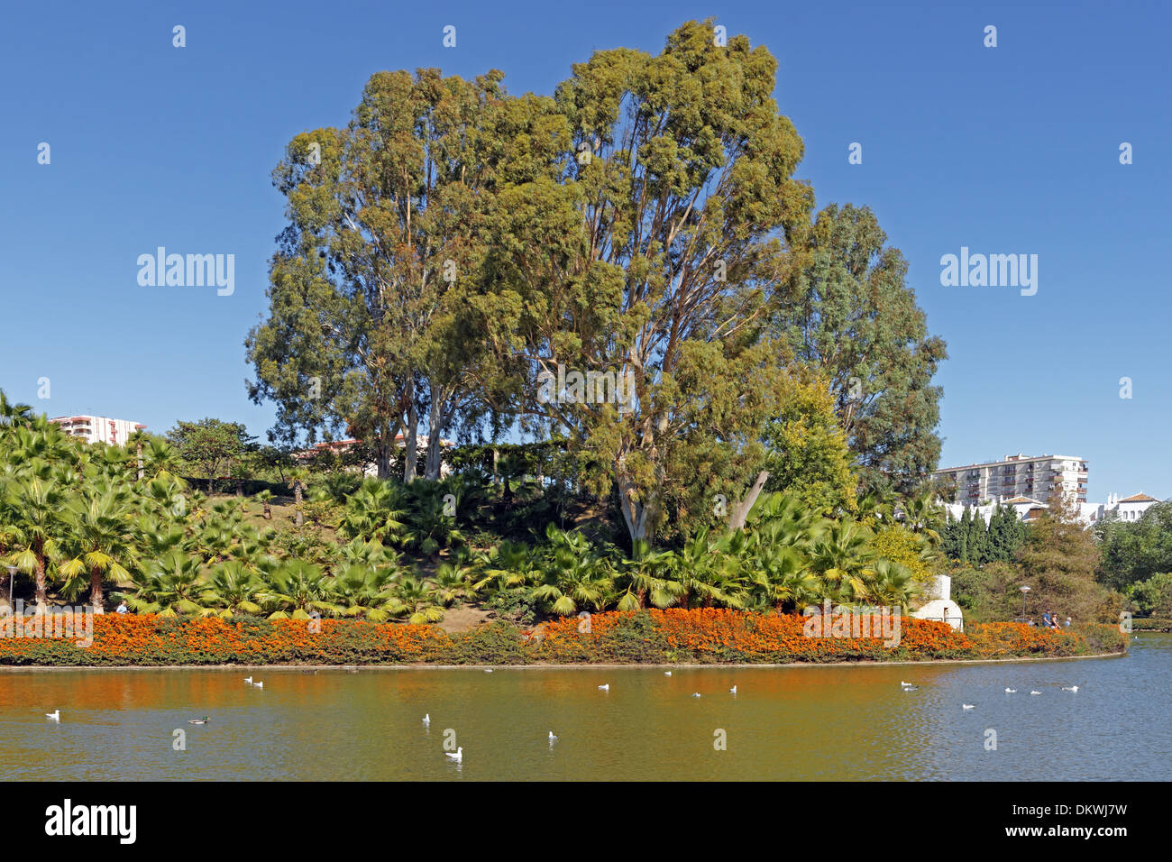 Parque de la paloma hi-res stock photography and images - Alamy