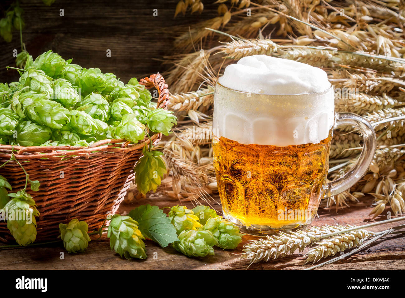 Small beer with a large foam surrounded by hops Stock Photo - Alamy