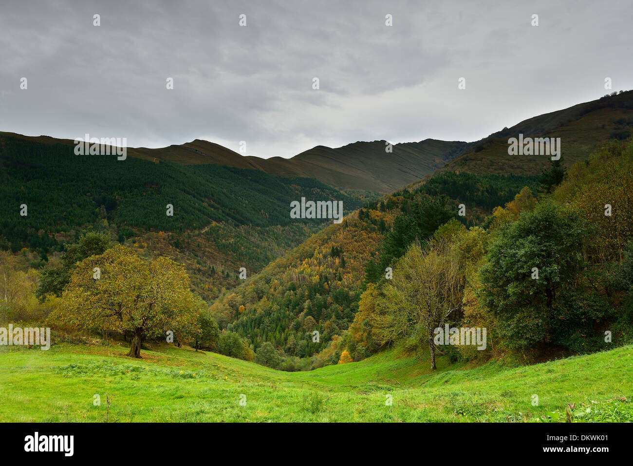 Carranza hi-res stock photography and images - Alamy