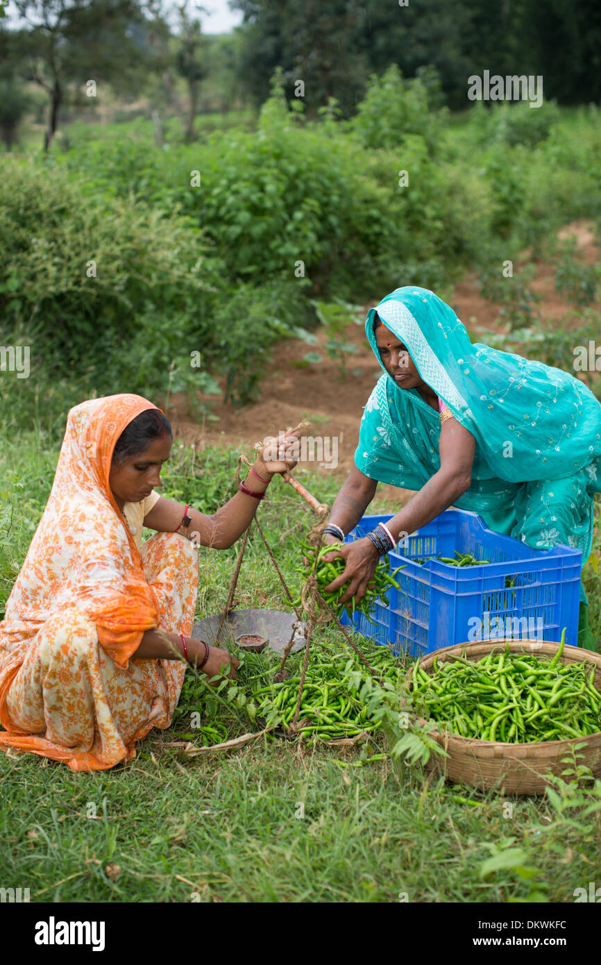 Sahris hi-res stock photography and images - Alamy