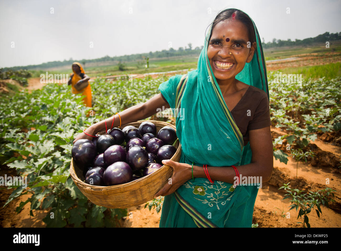 Woman farmer in Bihar State, India Stock Photo - Alamy