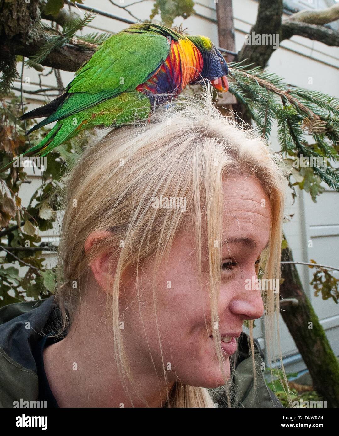Zookeeper, snake, children hi-res stock photography and images - Alamy