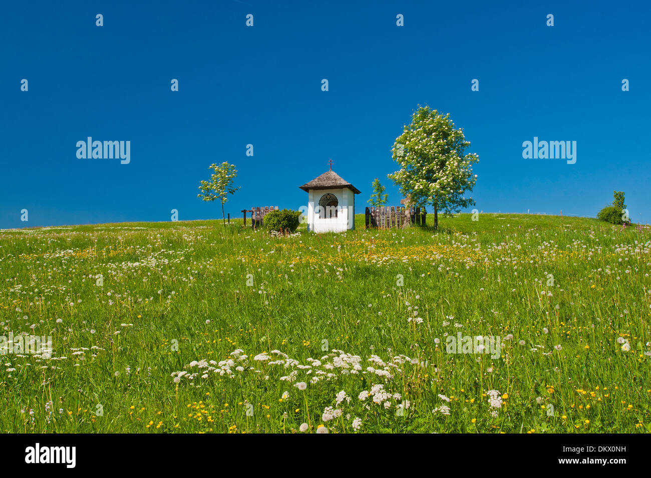 Germany Europe Bavaria Upper Bavaria Teisendorf Freidling chapel ...