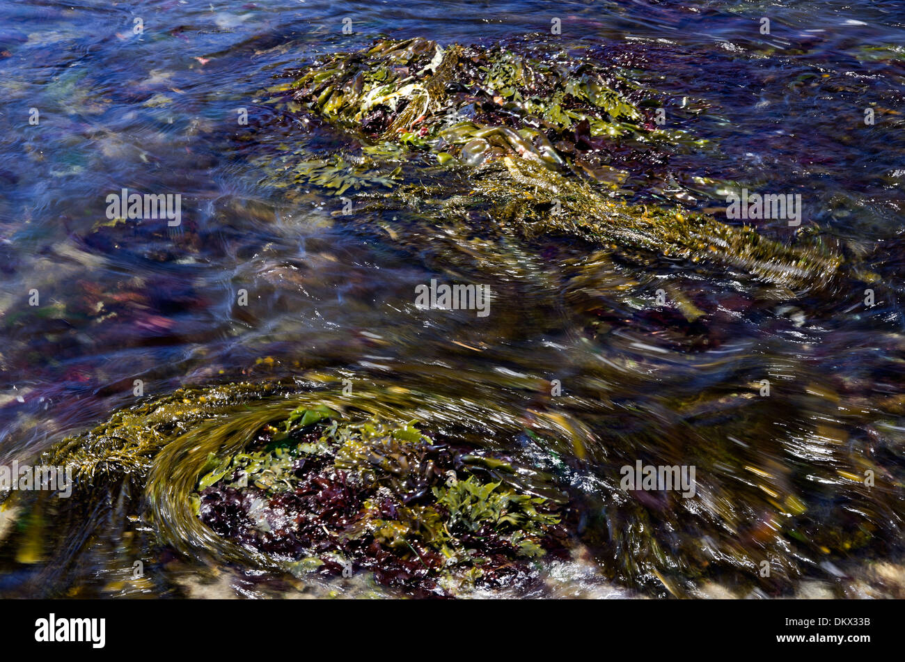 Swirl edge hi-res stock photography and images - Alamy