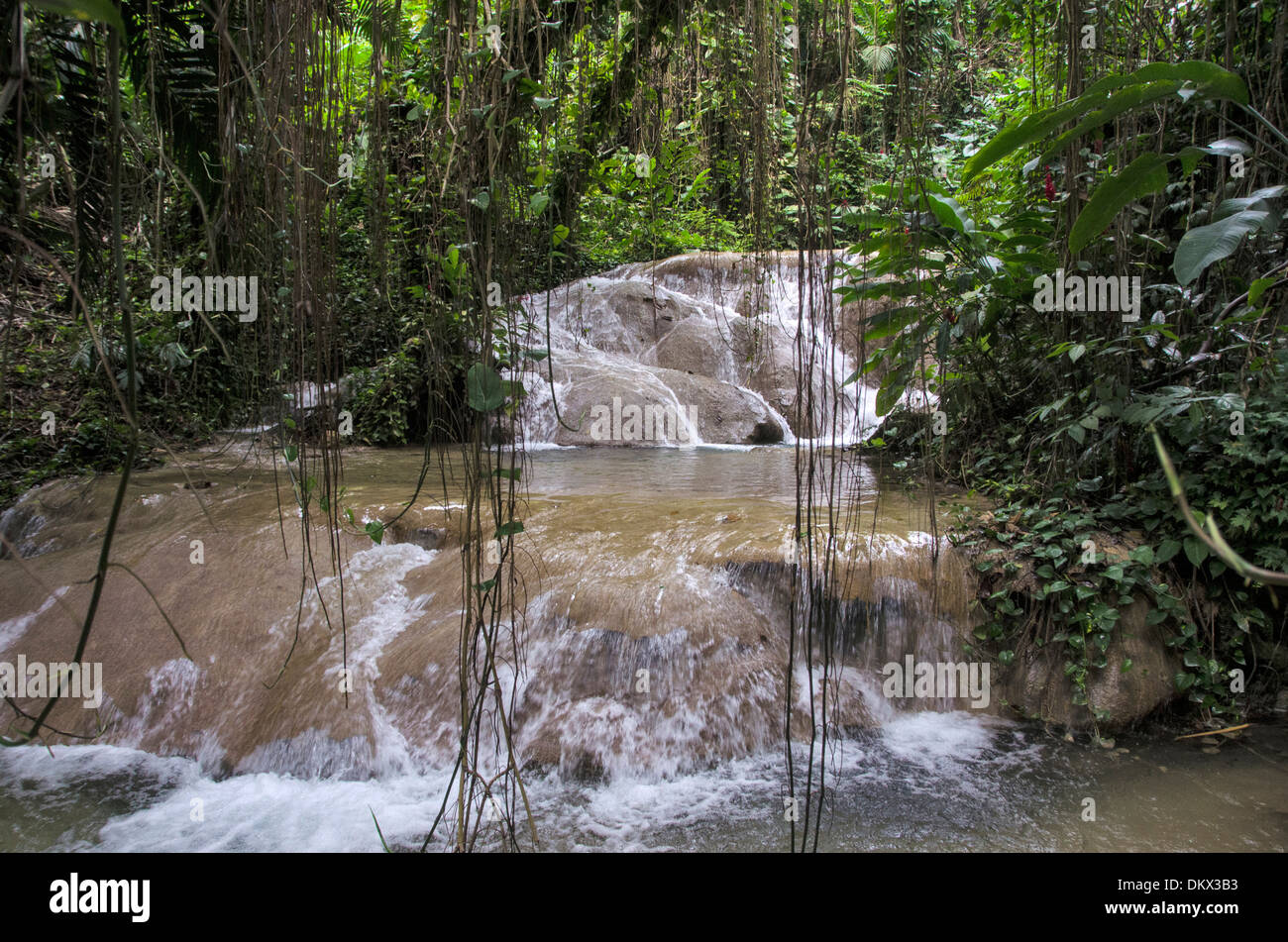 turtle river, falls, waterfall, nature, Ocho Rios, Jamaica Stock Photo ...