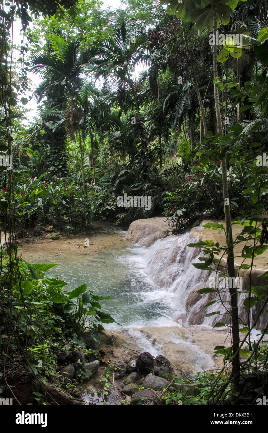 turtle river, falls, waterfall, nature, Ocho Rios, Jamaica Stock Photo ...