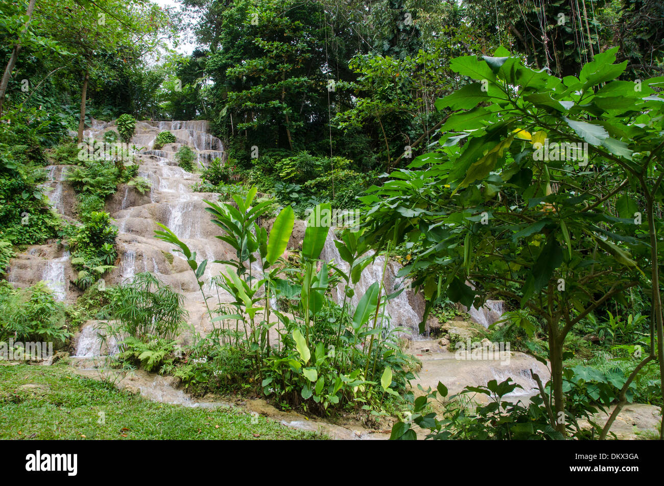 mahoe, waterfall, nature, falls, Ocho Rios, Jamaica Stock Photo - Alamy
