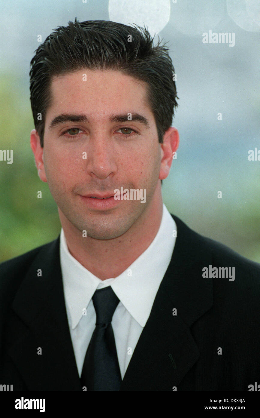 David schwimmer actor hi-res stock photography and images - Alamy