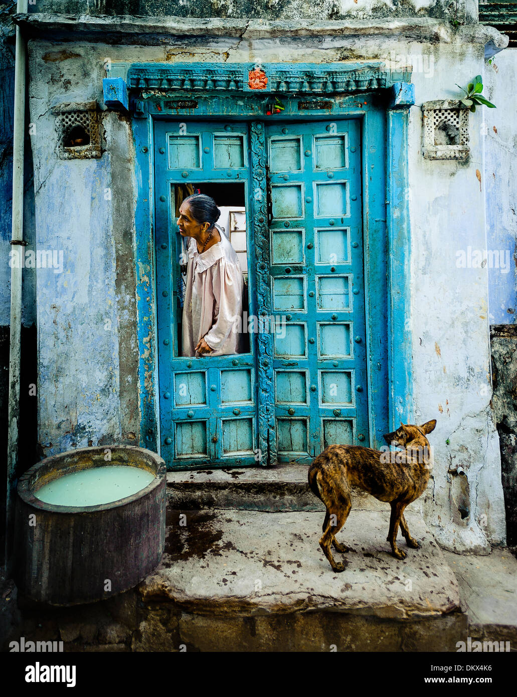 Phalodi, India Rajasthan woman Stock Photo - Alamy