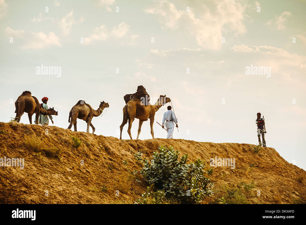 Camel traders hi-res stock photography and images - Alamy