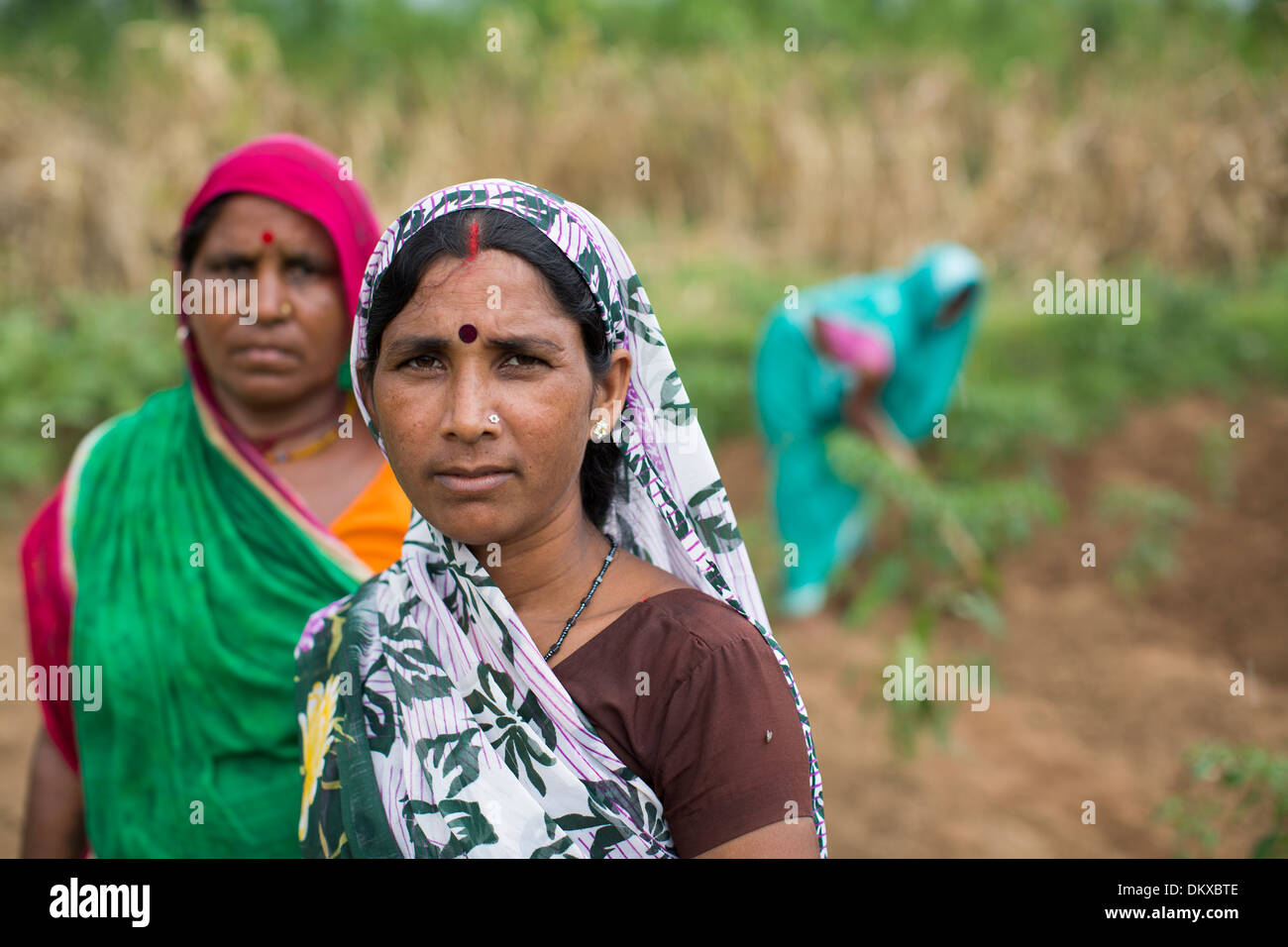 Rural development in india hi-res stock photography and images - Alamy