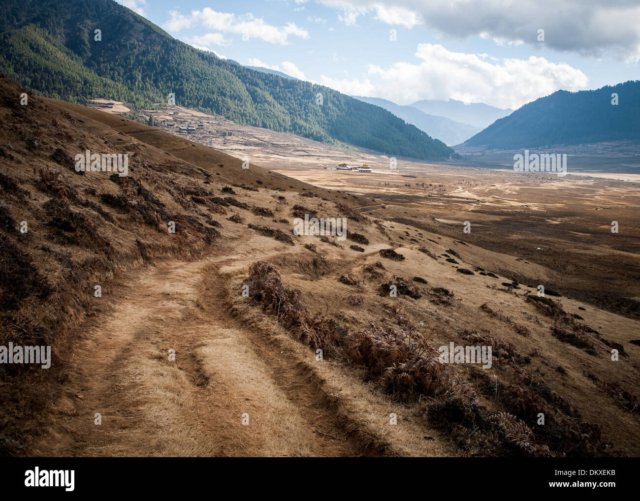Phobjikha Valley hike, Bhutan Stock Photo - Alamy