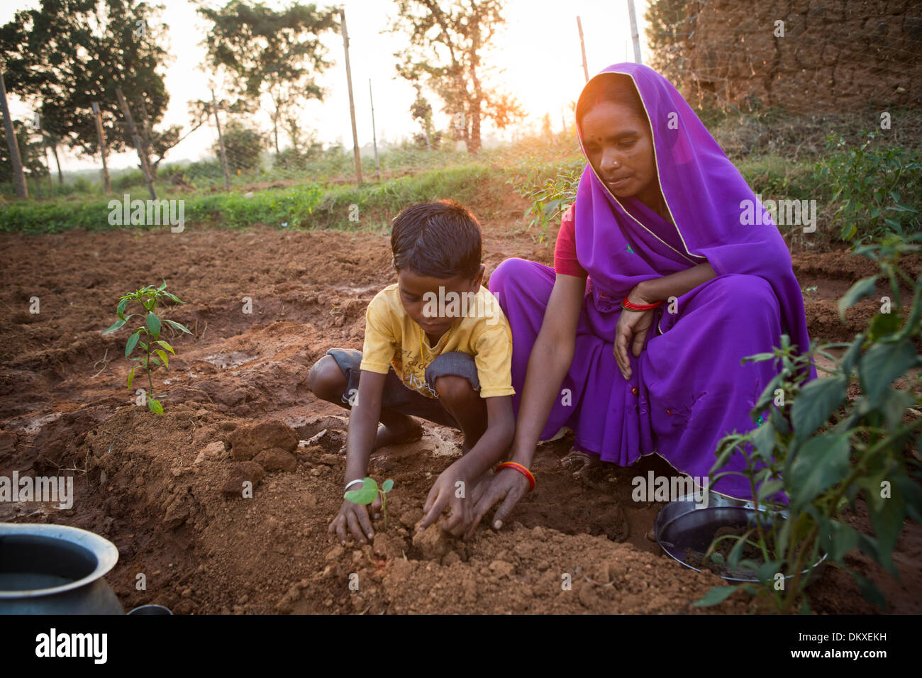 Bihar village hi-res stock photography and images - Alamy