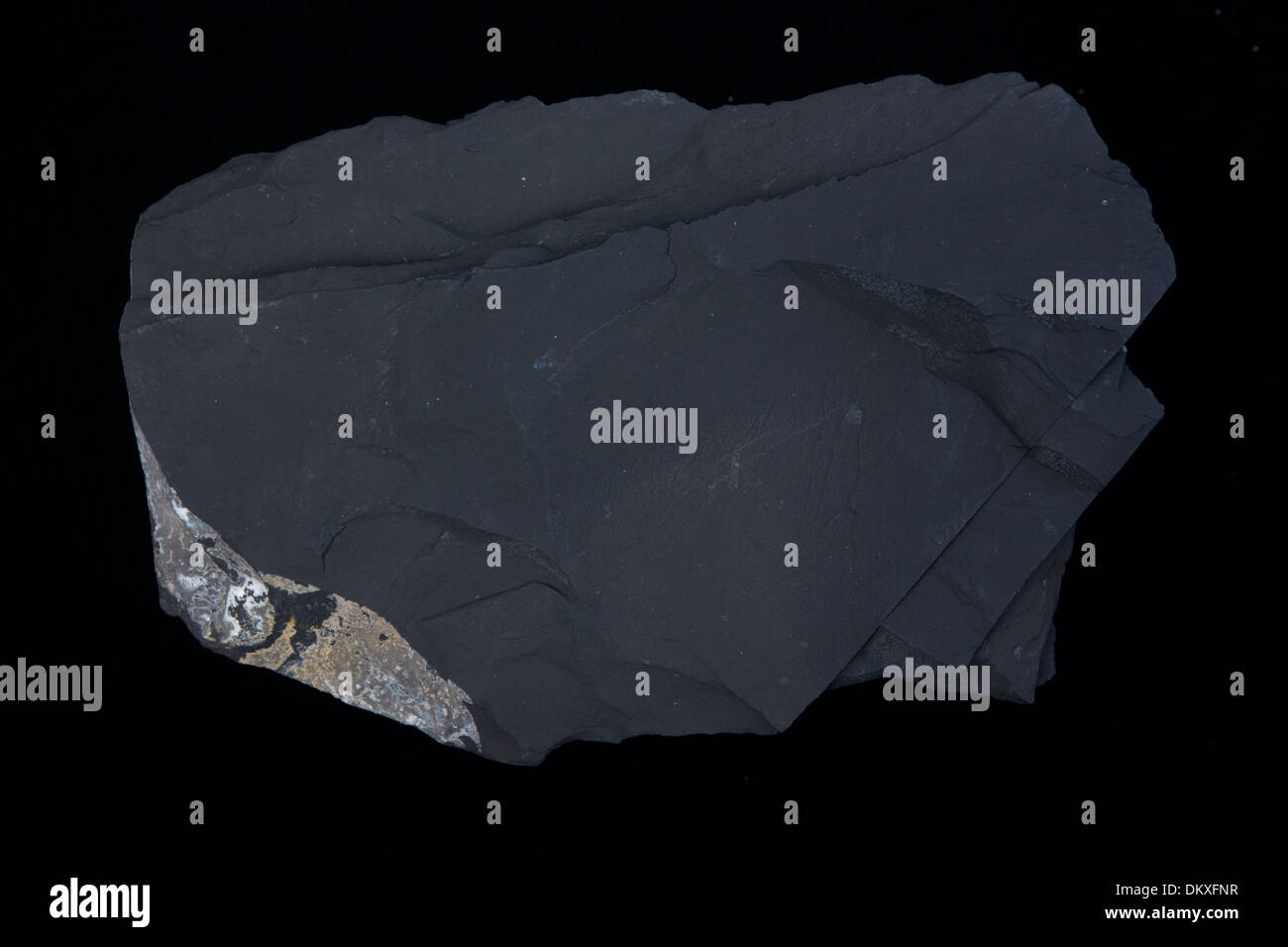 Marcellus shale, near Marcellus New York, source of natural gas ...
