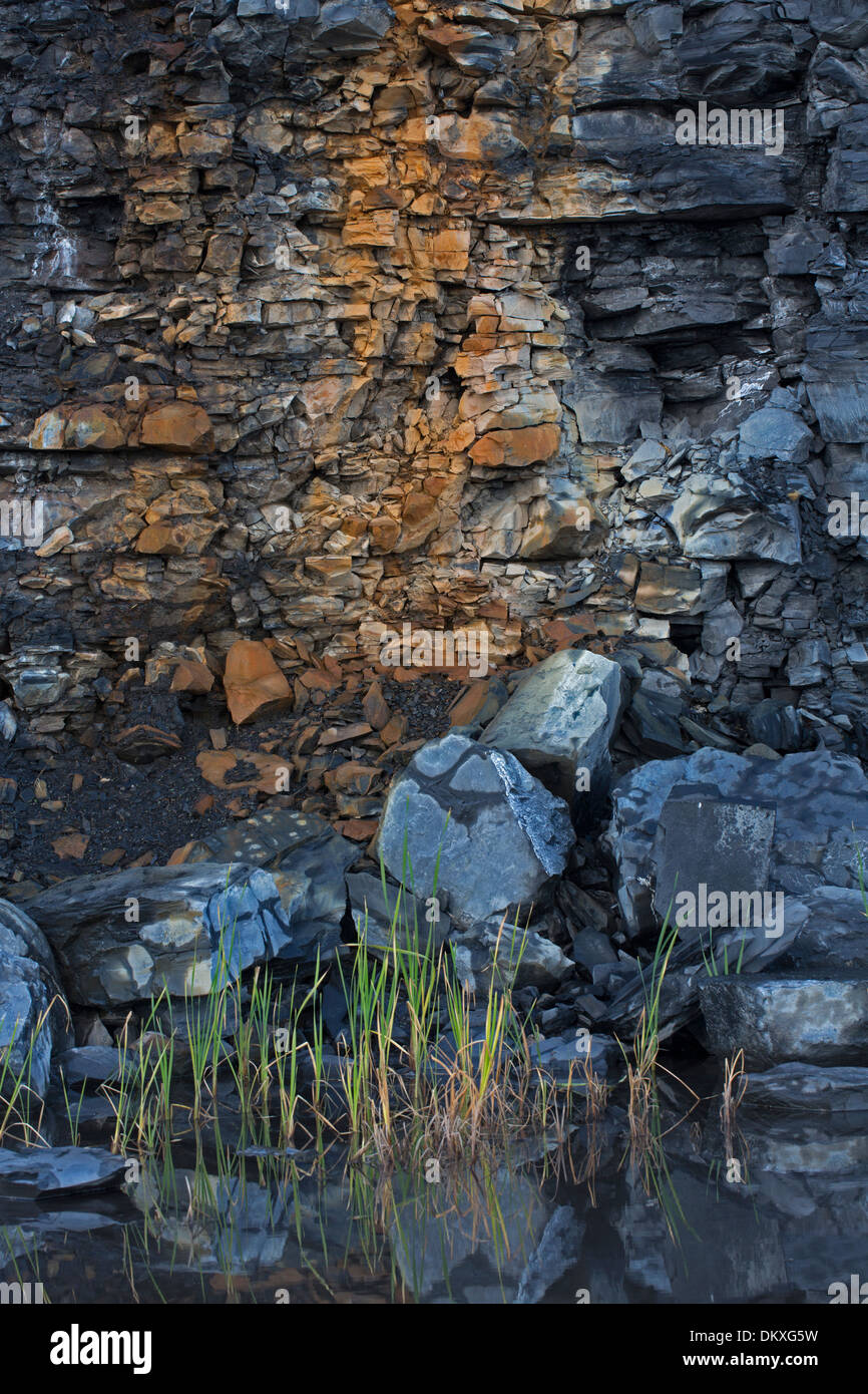 Marcellus shale, near Marcellus New York, source of natural gas ...