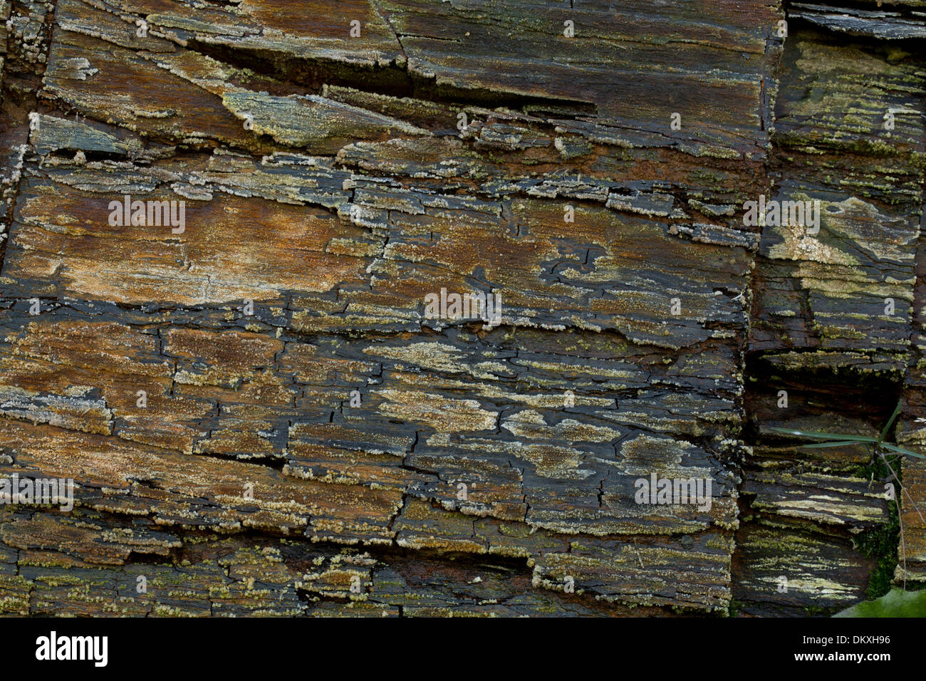 Marcellus shale, near Marcellus New York, source of natural gas ...