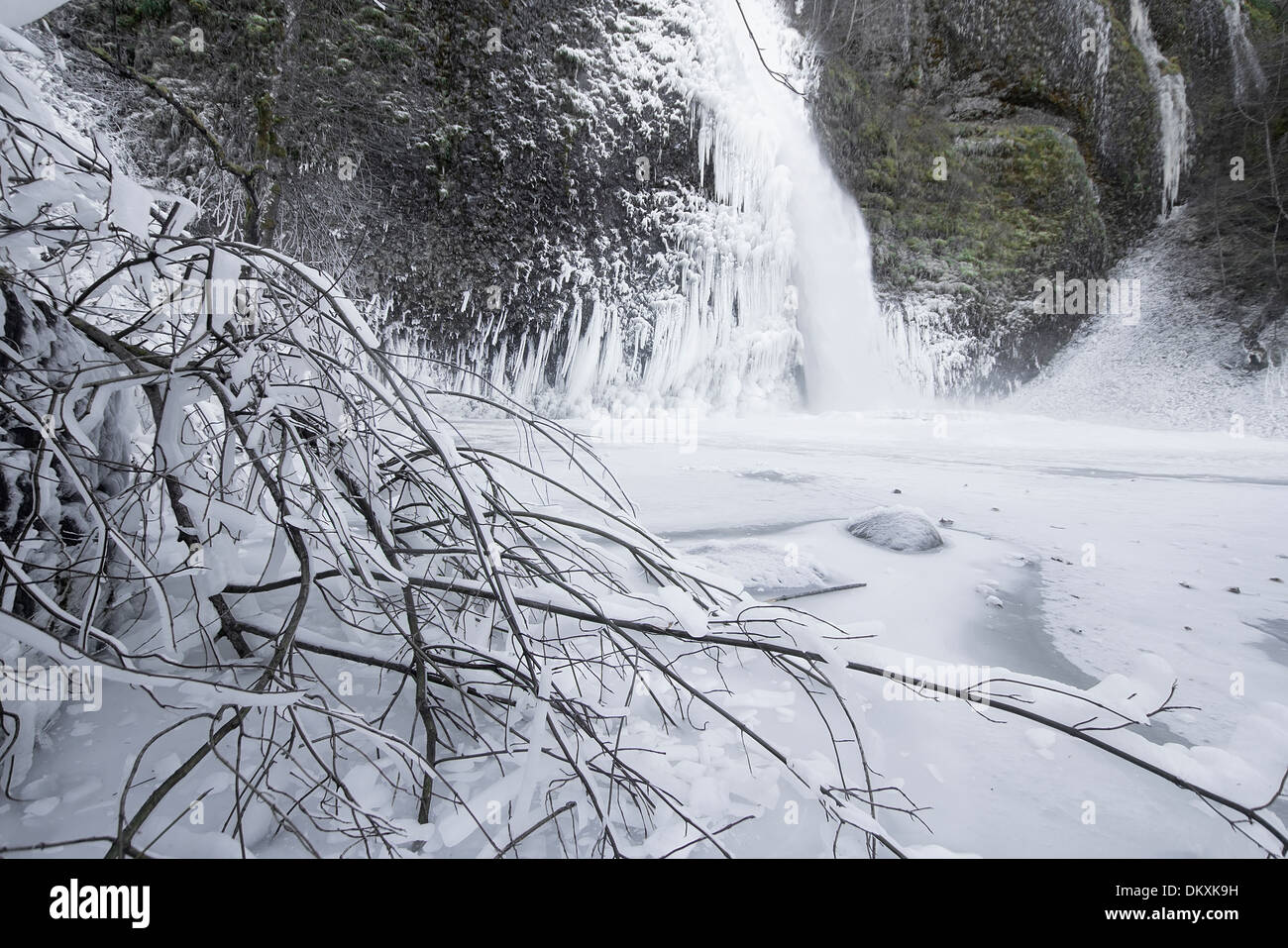 Horsetail Falls at Columbia River Gorge in Oregon Frozen in Winter ...