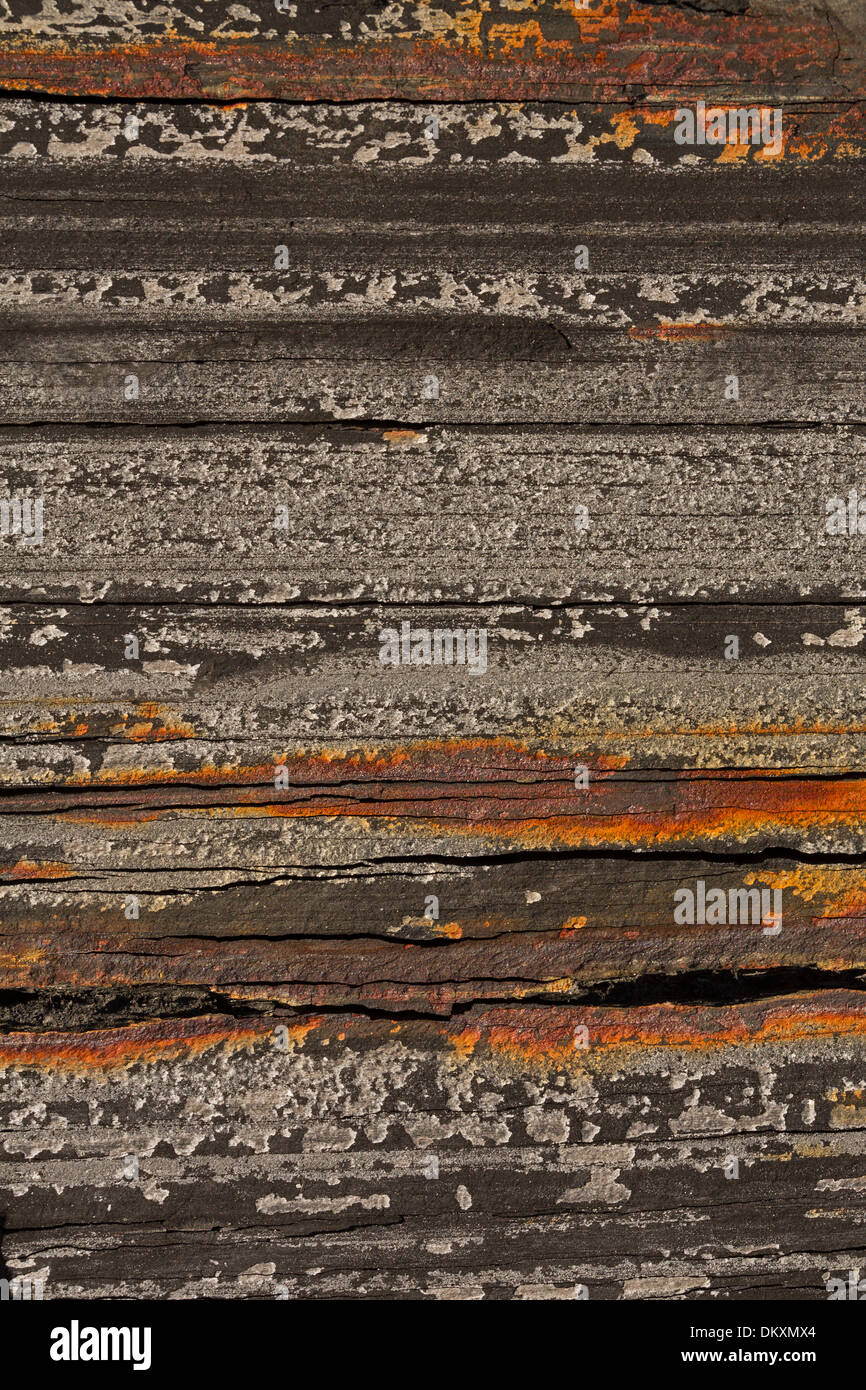 Marcellus shale, near Marcellus New York, source of natural gas ...