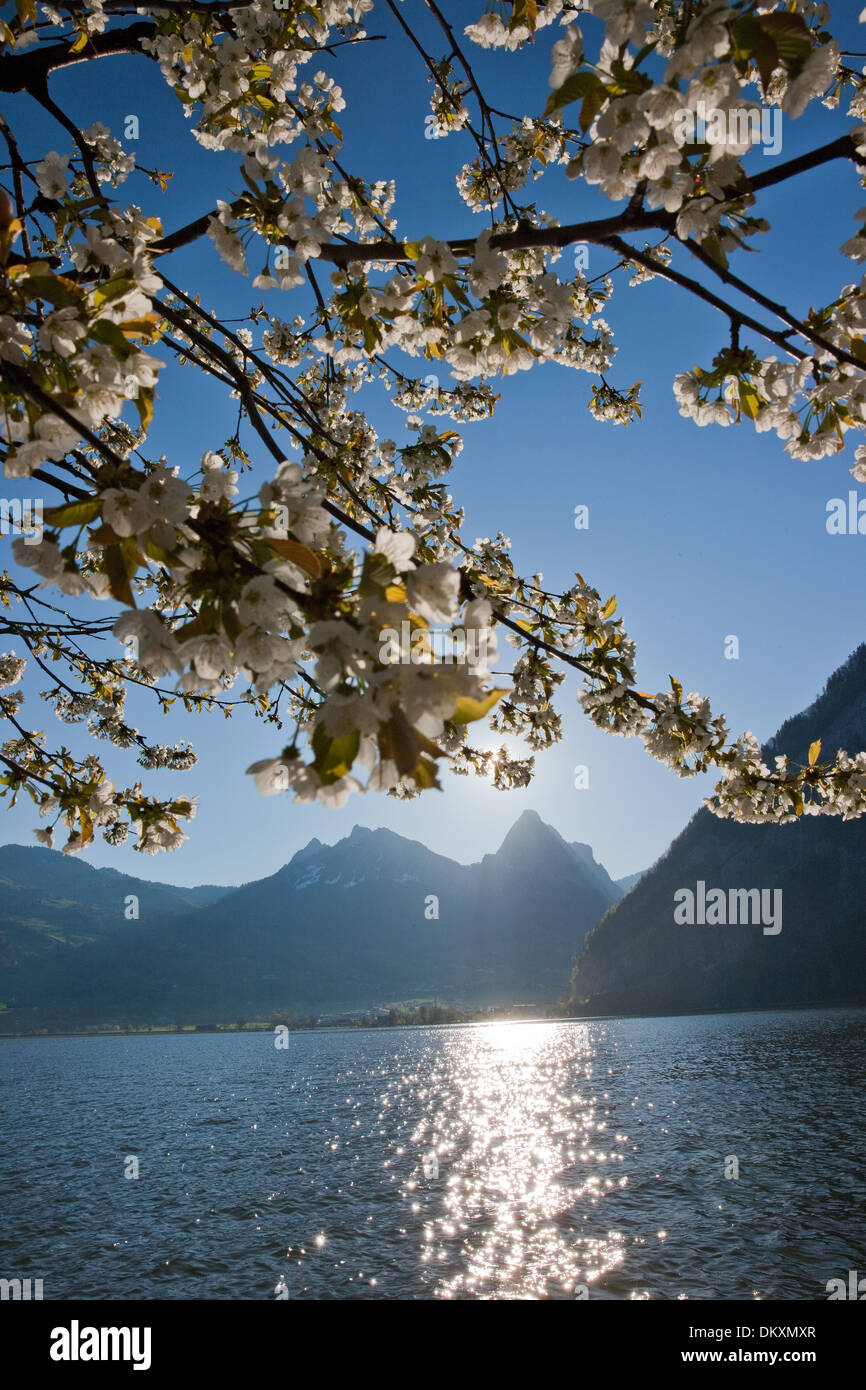 Switzerland europe lauerz lake schwyz hi-res stock photography and ...