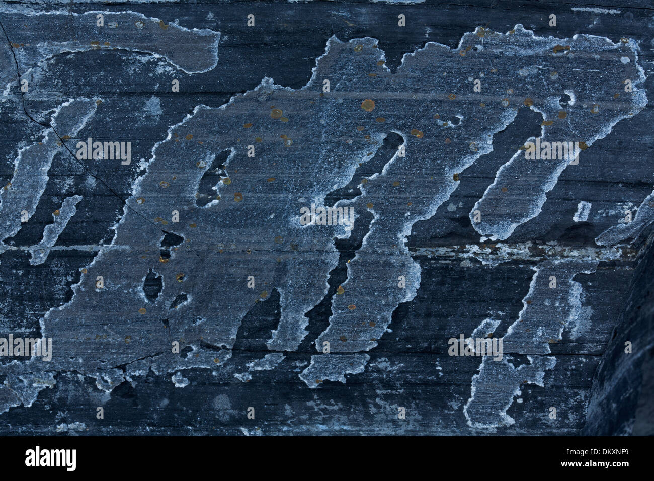 Marcellus shale, near Marcellus New York, source of natural gas ...