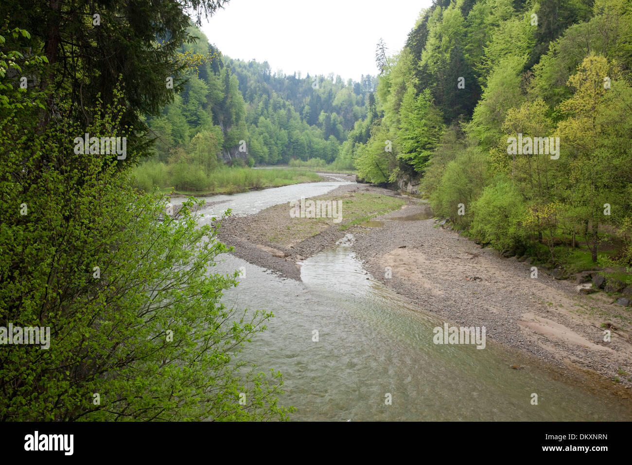 Wood body hi-res stock photography and images - Alamy